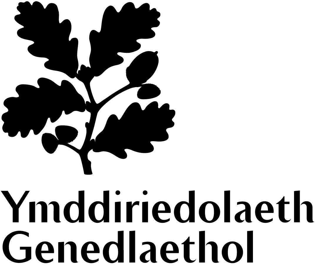 Cwm Idwal National Nature Reserve